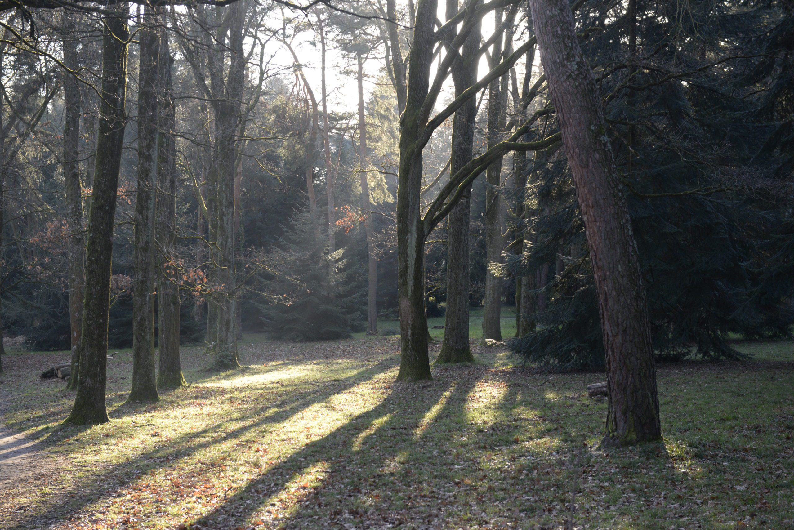 Ambiance 1 - Expressions