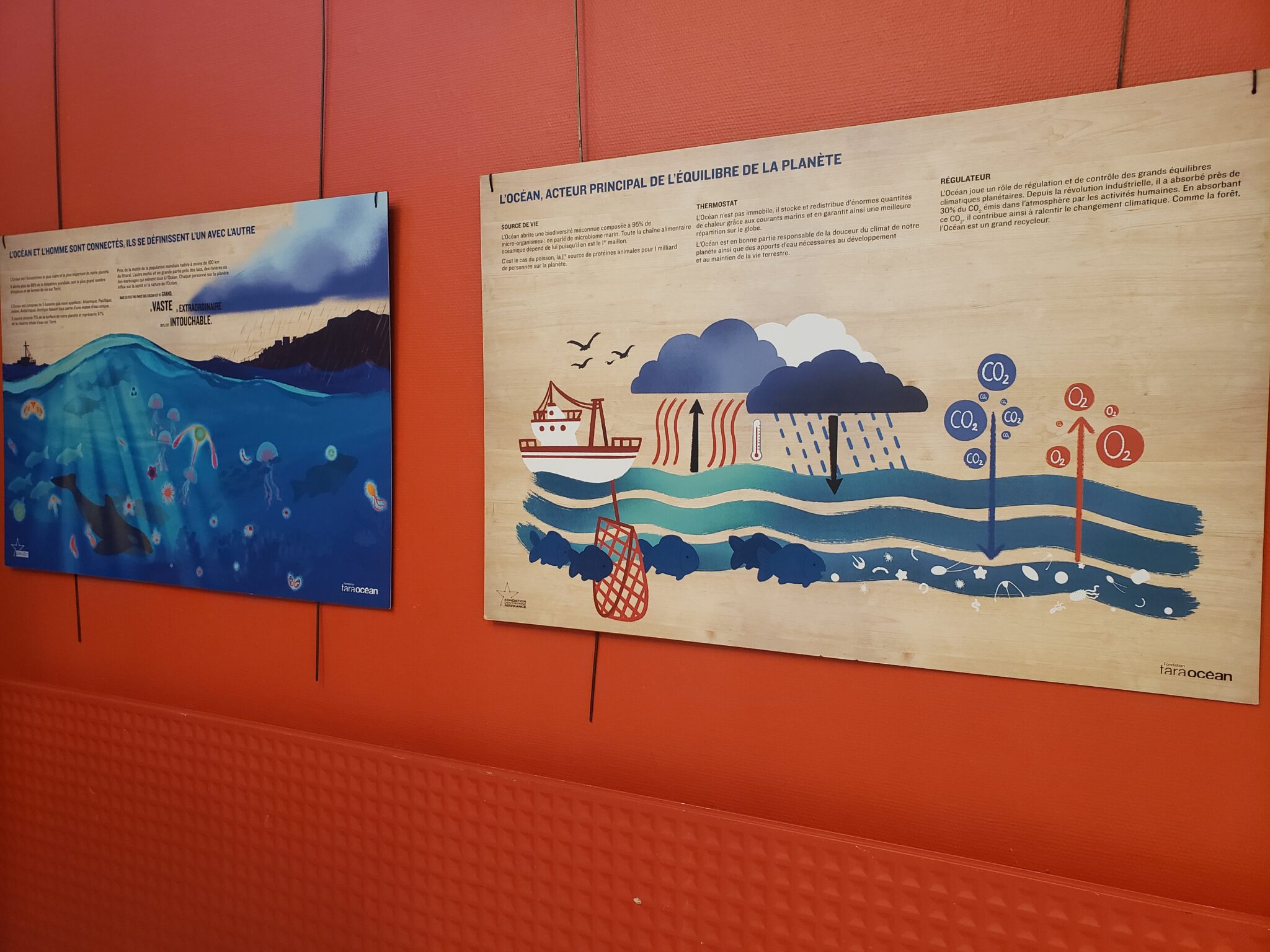 Tara, le navire à la conquête de l’Océan - Expressions